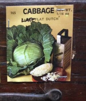 Flat Dutch Cabbage – Stone Brothers