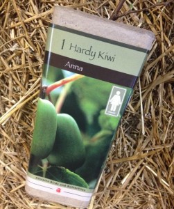 Hardy Anna Kiwi | Stone Brothers