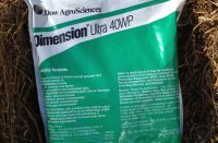 MSMA 6 Plus 2.5 gallons | Stone Brothers