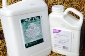 MSMA 6 Plus 2.5 gallons | Stone Brothers