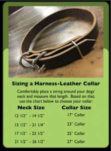 How to Size a Dog Collar – Stone Brothers