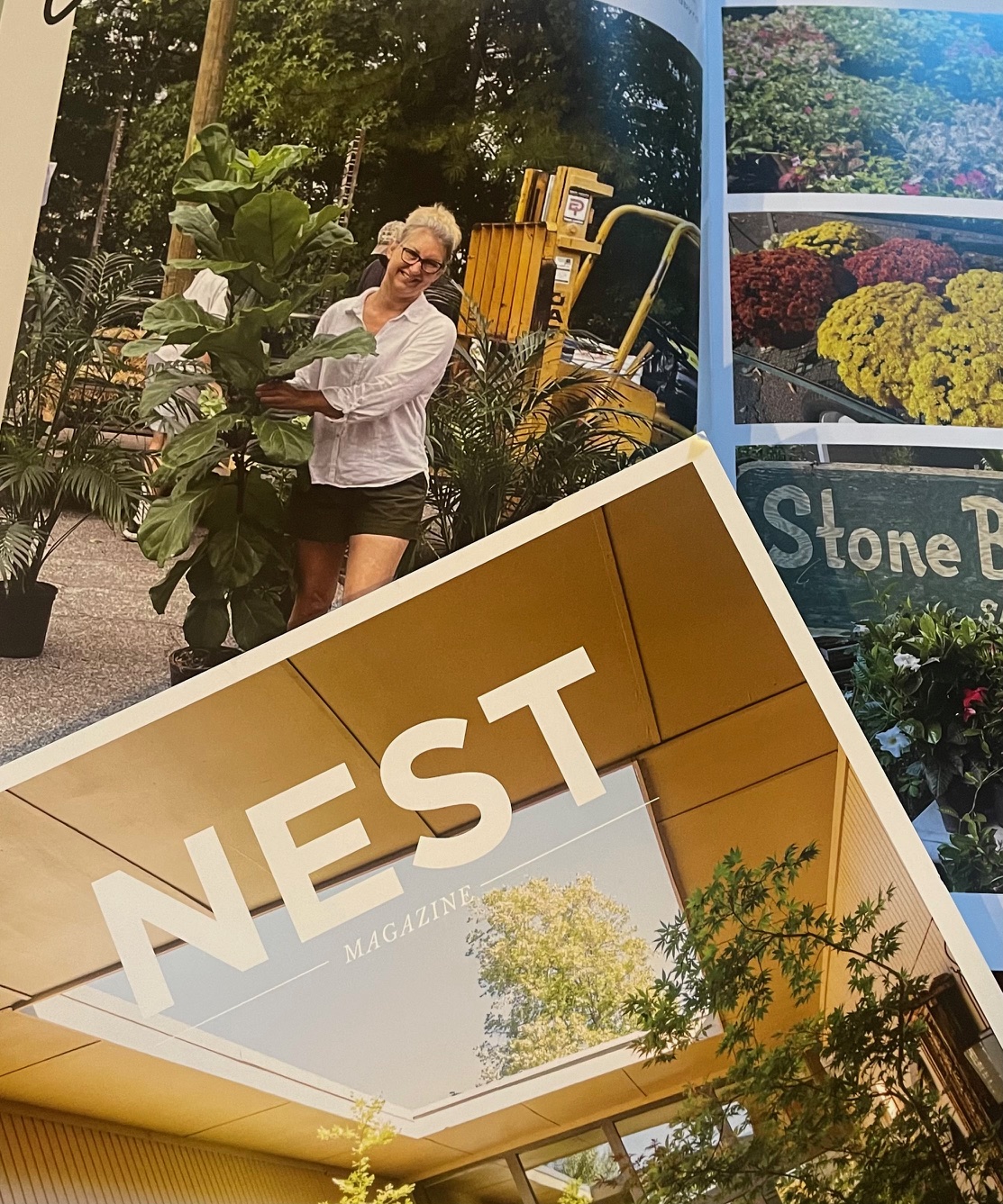 Local Love: Thanks NEST! – Stone Brothers